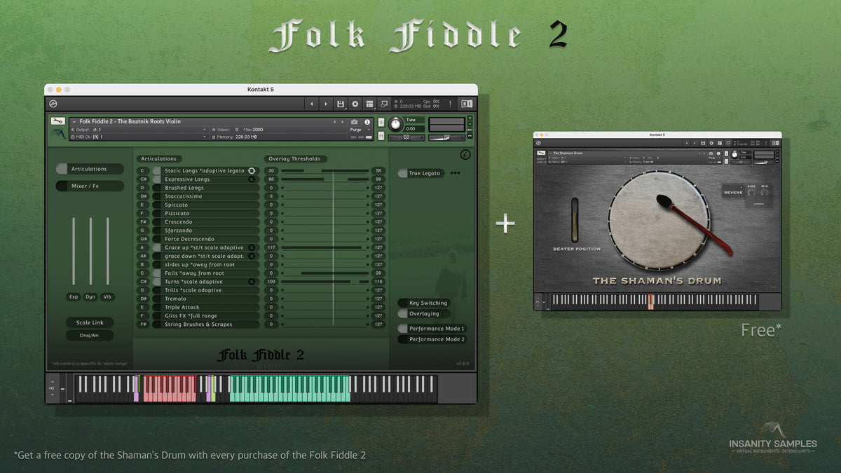 FOLK FIDDLE 2 - Beatnik Roots Violin – Insanity Samples